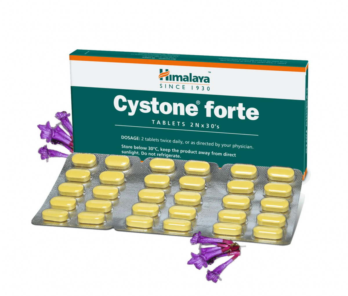 Ayurscape | Buy Himalaya Cystone Forte Tablets | Urinary Health
